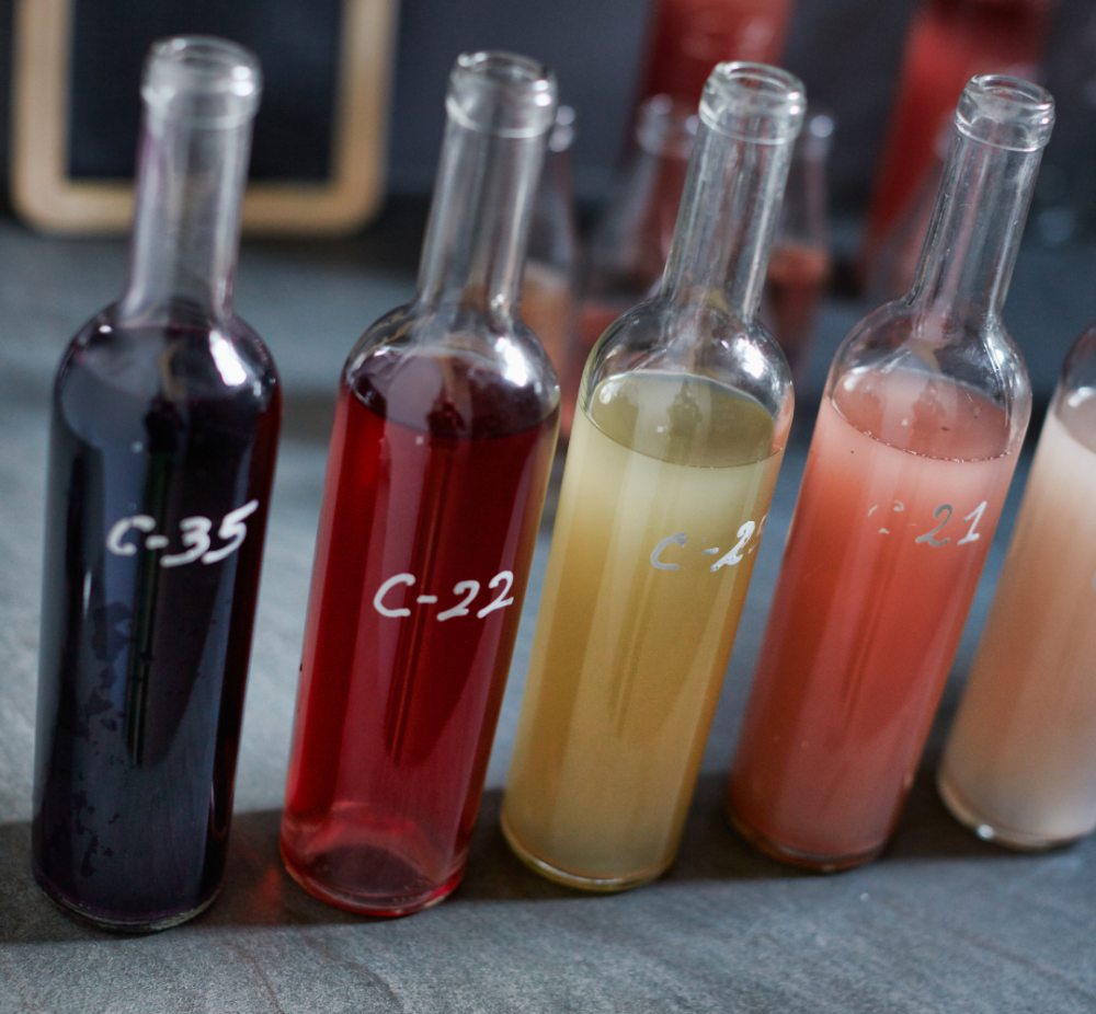 Blending to create Southern French Rosés - Makersvine